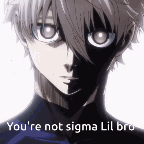 Sorry, You're Not Sigma, Lil Bro GIF - Share & View on KLIPY