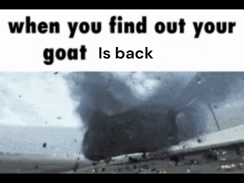 Goat Is Back We Are So Back GIF - Share & View on KLIPY