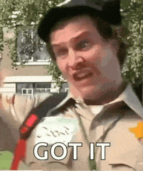 Officer Doofy's Hilarious 'GOT IT' Salute GIF - Share & View on KLIPY