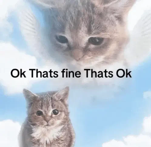 Ok That'S Fine Meme Meme - Share & View on KLIPY