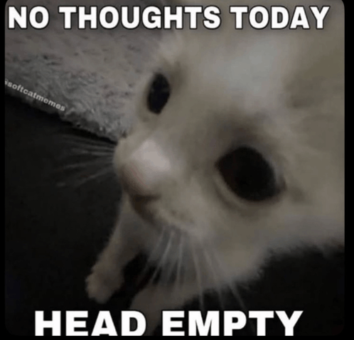 No Thoughts Today Head Empty Cat Funny Meme Meme - Share & View on KLIPY