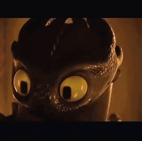 Toothless's Confused Look GIF - Share & View on KLIPY
