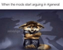 Mods Arguing Meme Meme - Share & View on KLIPY