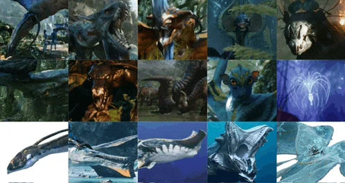 Avatar Creatures Of Pandora Meme Meme - Share & View on KLIPY