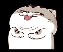 Laughing Cat Chuckle Cat Meme Meme - Share & View on KLIPY