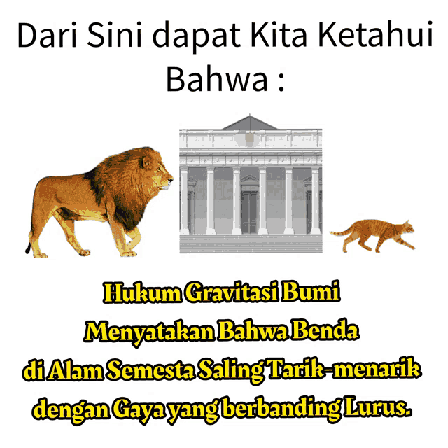 Meong Miau Meme Meme - Share & View on KLIPY