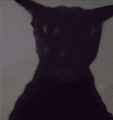 Larry Evil Larry Meme Meme - Share & View on KLIPY
