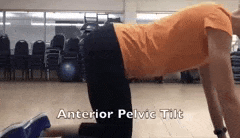 Pelvic Position: Anterior Pelvic Tilt vs. Posterior Pelvic Tilt GIF ...