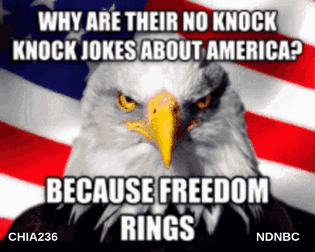 God Bless America: Freedom Rings Meme GIF - Share & View on KLIPY