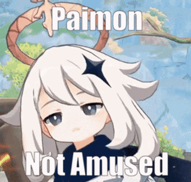 Paimon Not Amused - Genshin Impact Meme GIF - Share & View on KLIPY